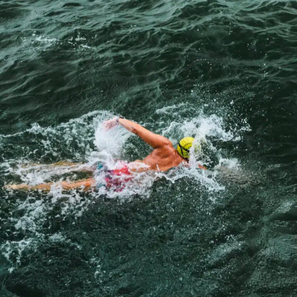 Luke and Peter – Tom and Teddy Australia